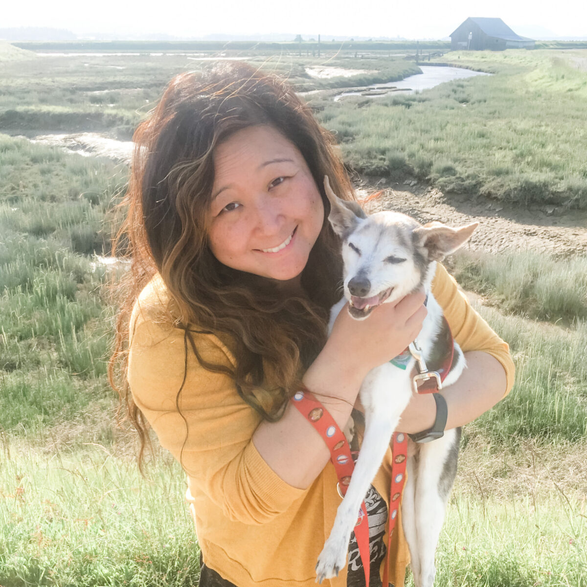 5 Life Lessons Learned from a MOG| A Dash of Adorable